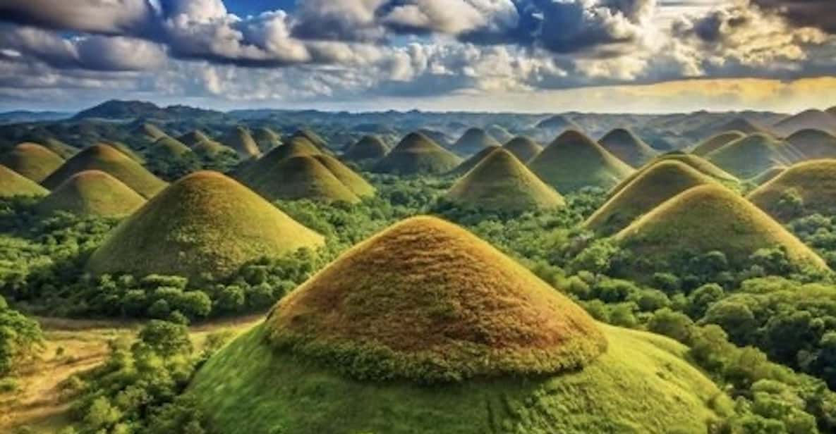 Bohol: Schokoladenhügel, Schildkröten und der Loboc-Fluss | GetYourGuide