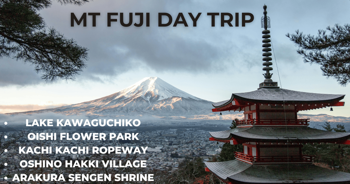 Un tour di un giorno in auto o furgone privato del monte Fuji | GetYourGuide