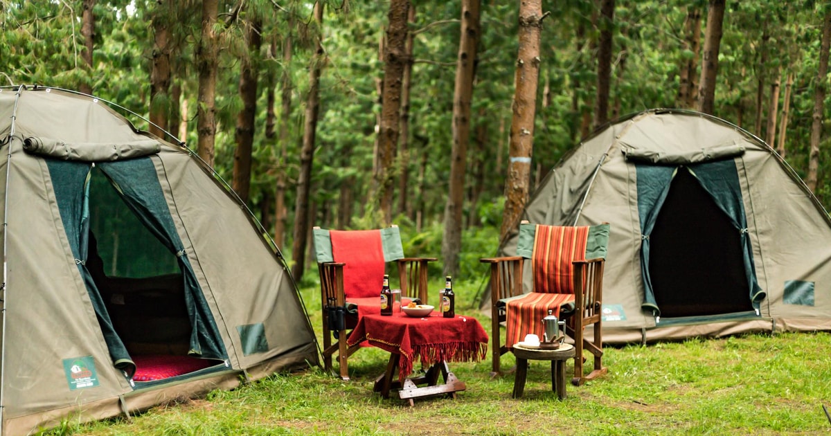 Arusha: Meru Forest Reserve waterfall hiking and camping | GetYourGuide