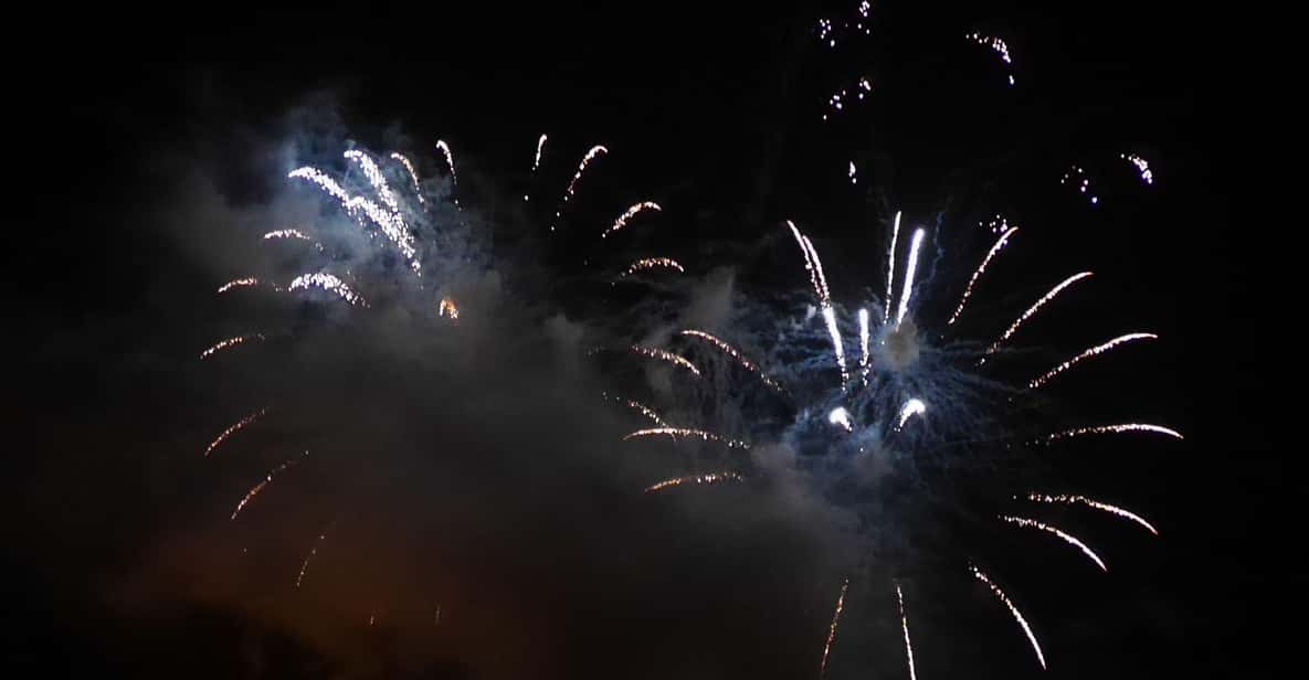 Cruise to the fireworks of Winninger vinefestival | GetYourGuide