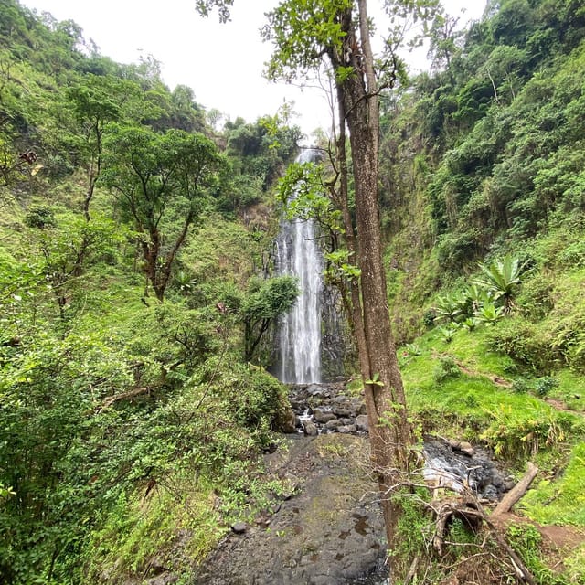 Materuni waterfall | GetYourGuide