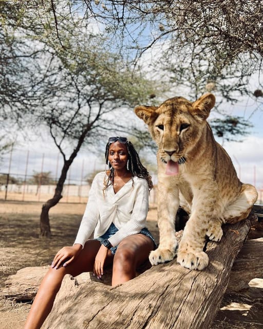 Chemka Hotsprings and Serval wildlife Private Day Trip | GetYourGuide