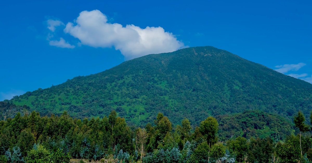 Rwanda: Bisoke Volcano Hike with Round-Trip from Kigali | GetYourGuide