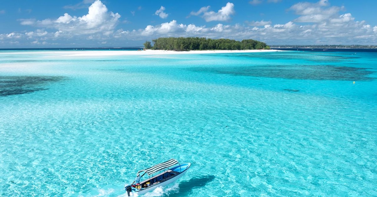 Zanzibar:Mnemba–Snorkeling,Dolphin ,Star fish & Sunset Dhow | GetYourGuide