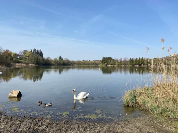 Day Trips from Lyon | GetYourGuide