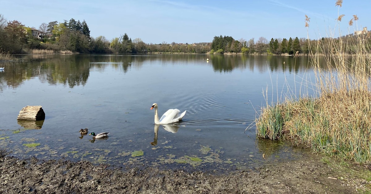 Lyon: self-guided hike off the beaten track (train & picnic) | GetYourGuide