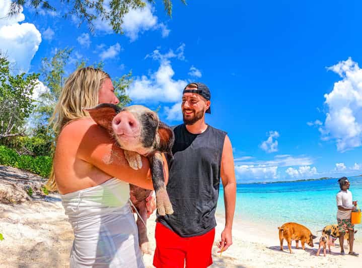 Nassau: Sun Cay and Swimming Pigs Boat Trip with Lunch | GetYourGuide