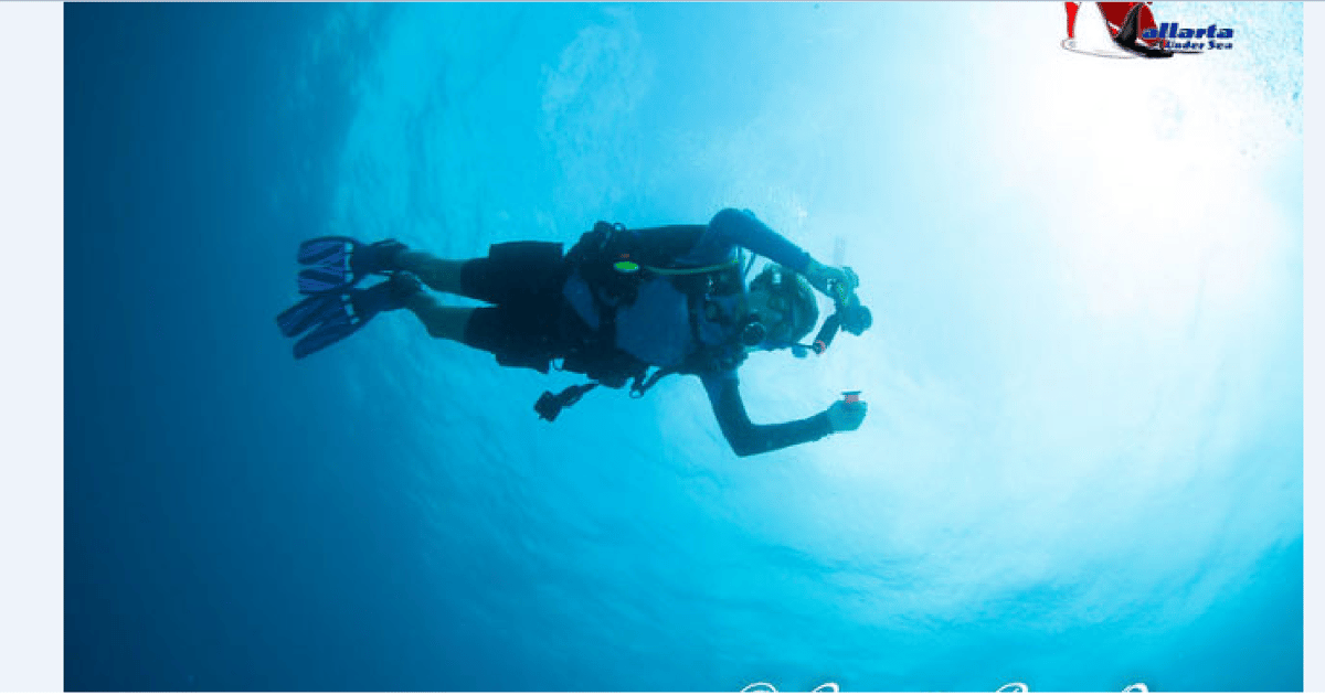 Puerto Vallarta: Exclusive Dive Adventure | GetYourGuide