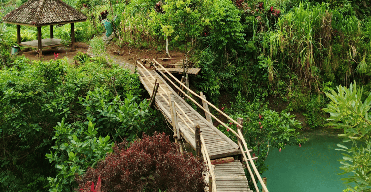 Yogyakarta: Hidden Paradise of Yogyakarta Waterfall & Swim | GetYourGuide
