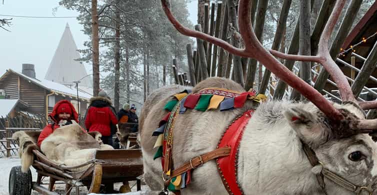 Z Rovaniemi: renifery, husky i wioska Świętego Mikołaja | GetYourGuide