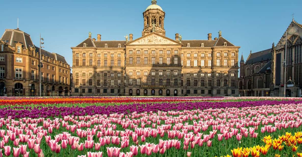 Skip-the-line Royal Palace of Amsterdam Private Guided Tour | GetYourGuide