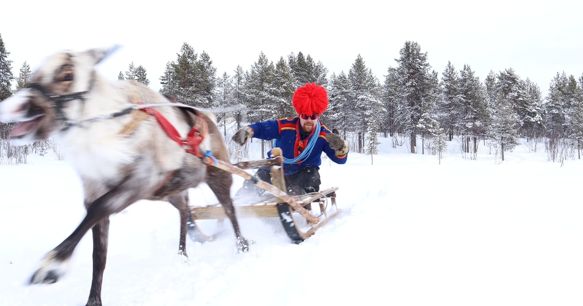 Kiruna - Renskötare Renskötartur med samisk middag och transfer ...
