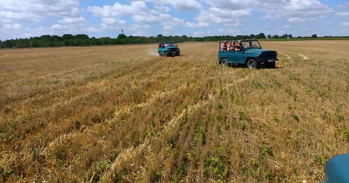 Obzor: safári de jipe com degustação de mel e almoço | GetYourGuide