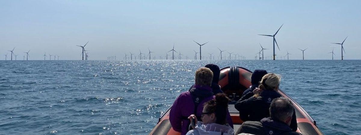 Newhaven: Rampion Offshore Wind Farm Boat Tour | GetYourGuide