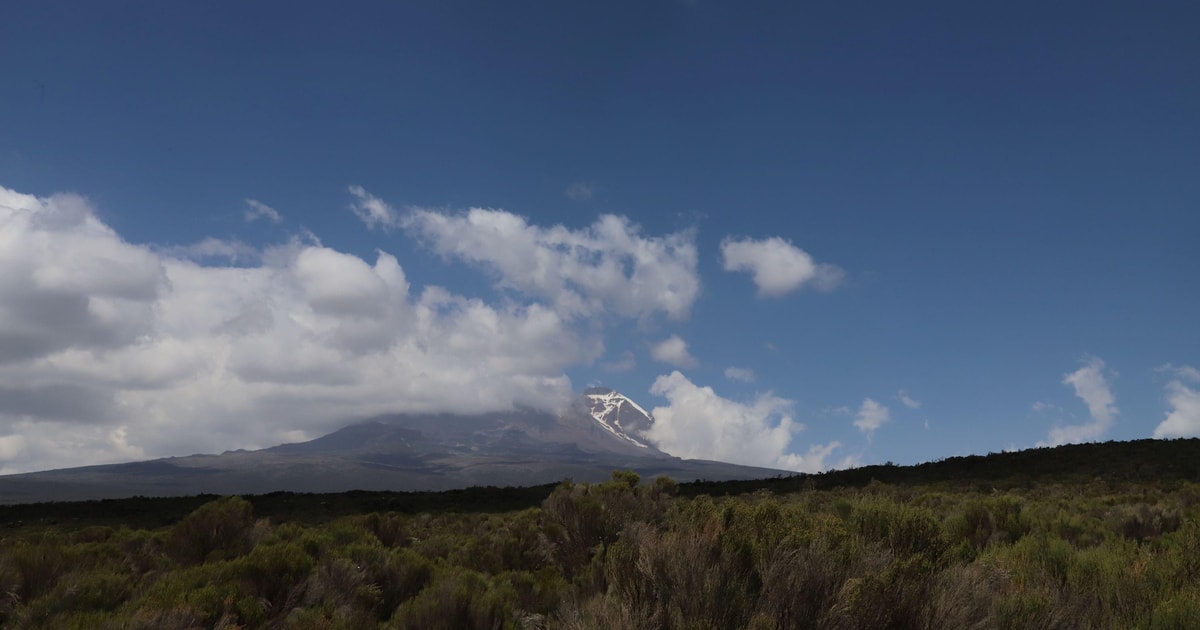 Kilimanjaro: Excursión de un día a la meseta de Shira desde Moshi ...
