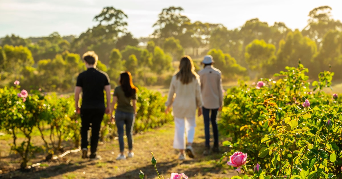 Adelaide Hills: Jurlique Farm Tour | GetYourGuide