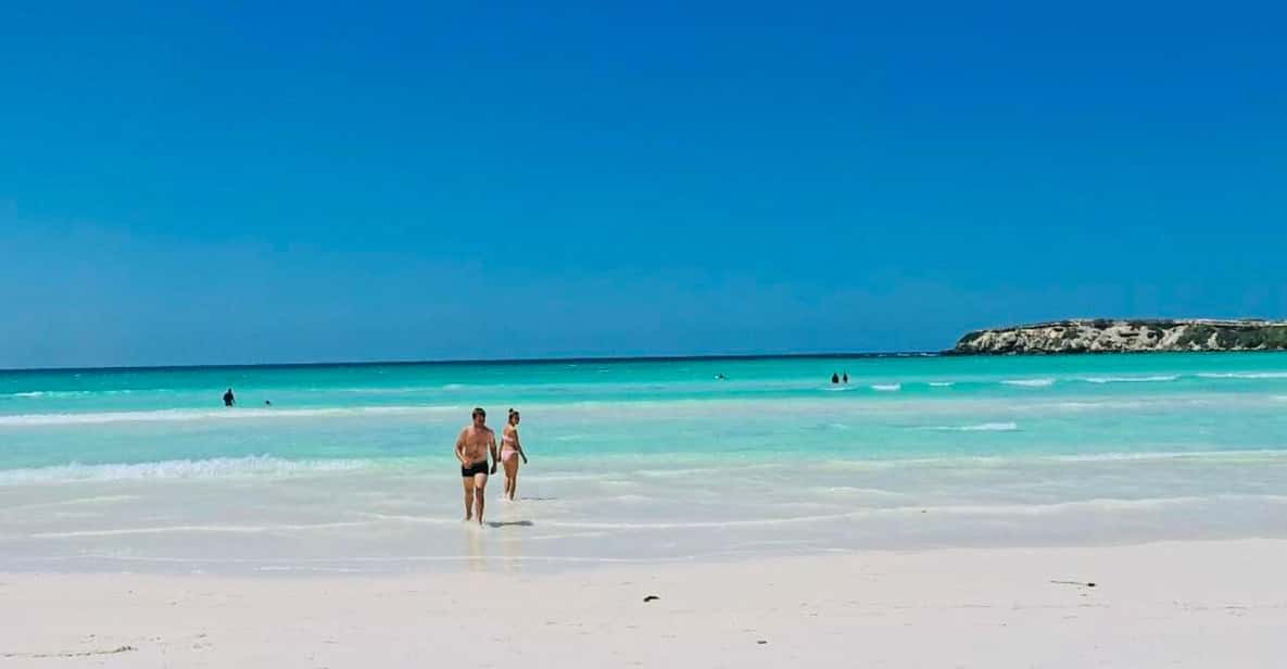 Perth: 4x4/ Wedge Island e observação de estrelas em Pinnacles ...