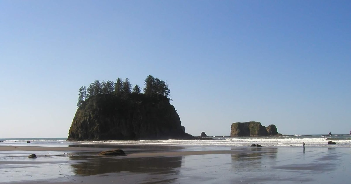 From Portland: Oregon Coast Scenic Day Tour | GetYourGuide