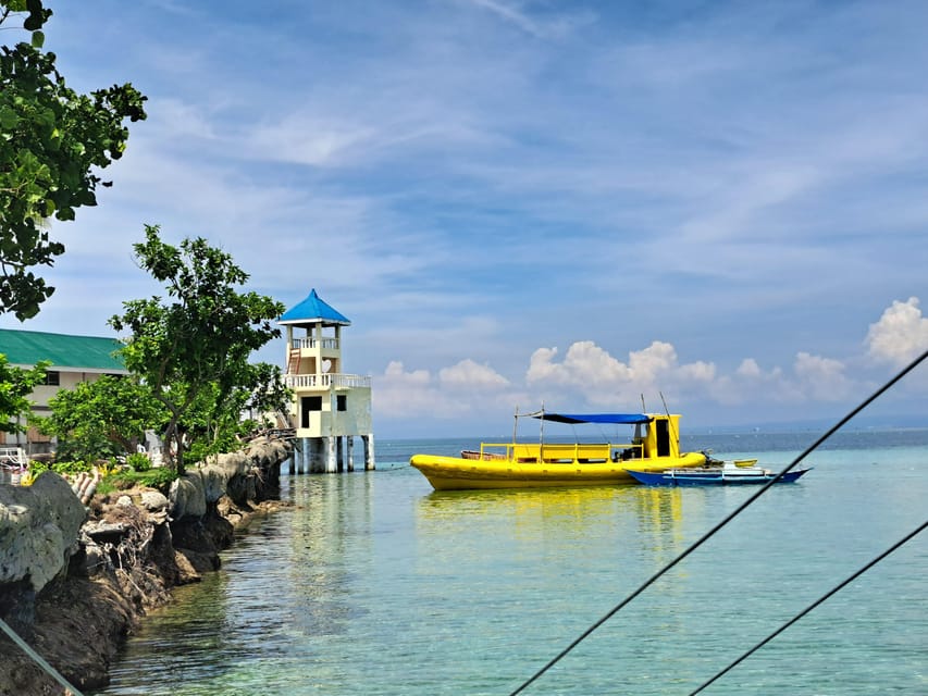 Cebu Nalusuan Island & Marine Sanctuary | Joiners Tour | GetYourGuide