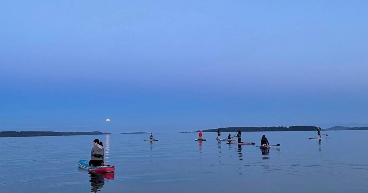 Oak Bay: Esperienza di pagaia con la luna piena | GetYourGuide