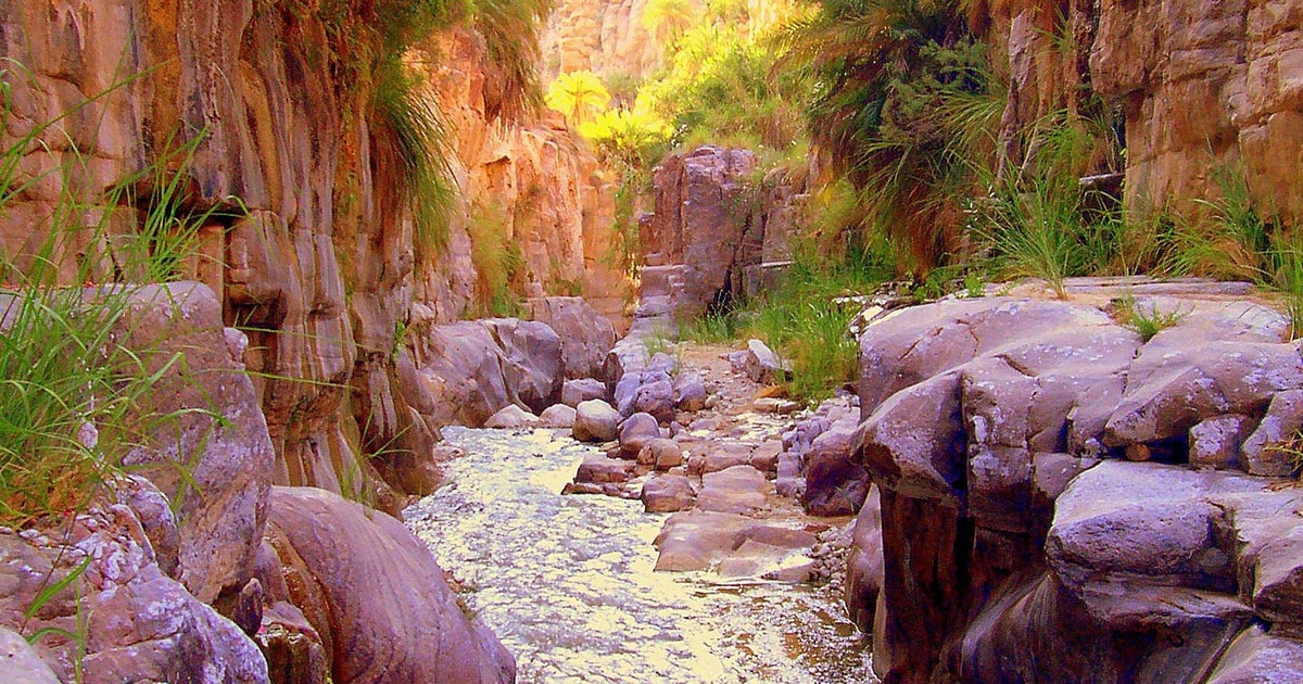 Hike Wadi Ibn Hammad & Visit Al Karak Castle | GetYourGuide