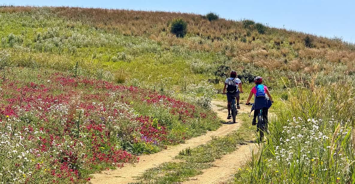WWF E-BIKE TOUR | Riserva Naturale di Torre Salsa Con pranzo | GetYourGuide