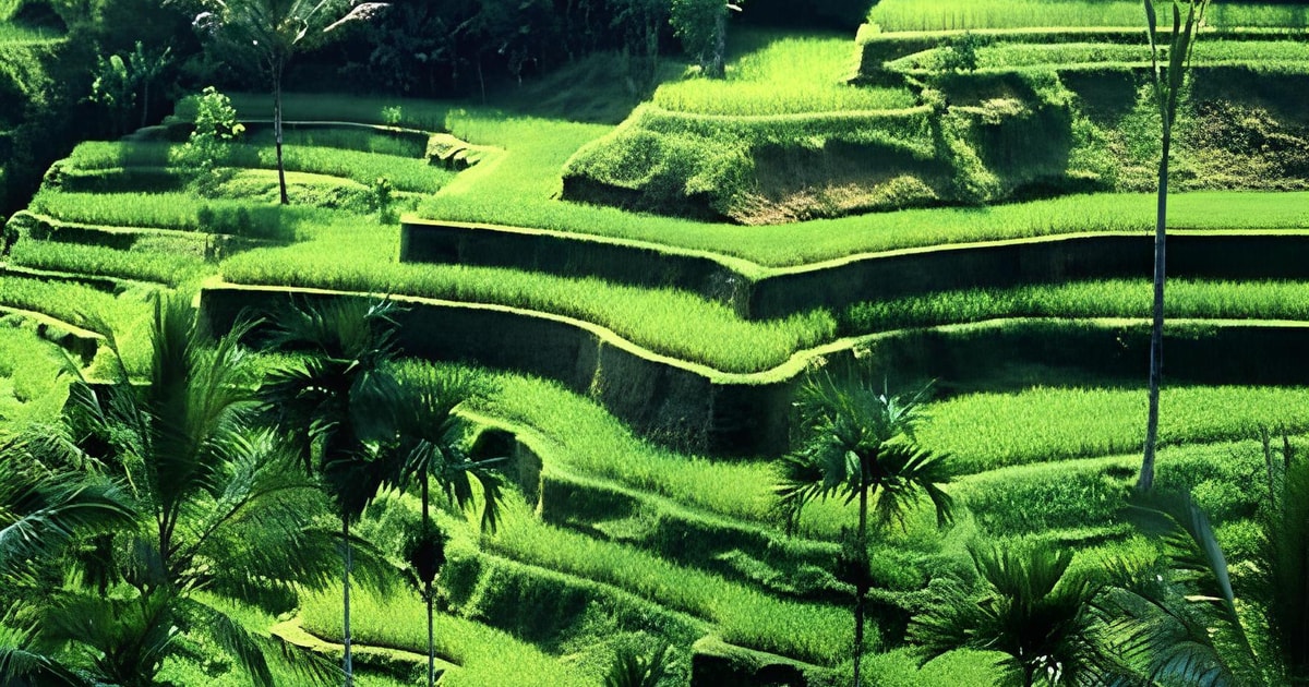 Ubud: Monkey Forest, Rice Terraces, Temple & hidden Waterfal | GetYourGuide