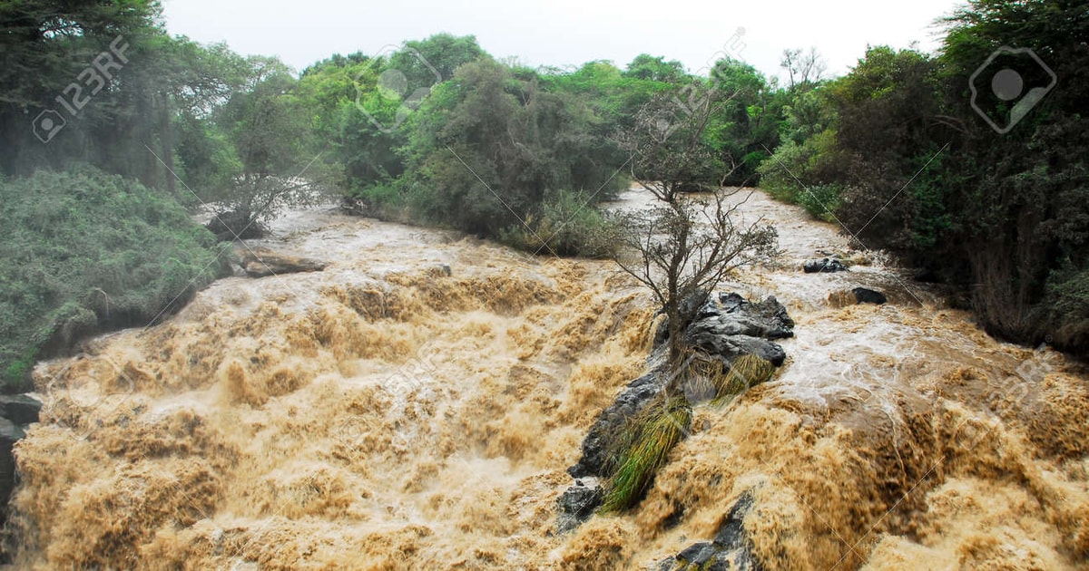 2 Days Awash National Park Safari Tours | GetYourGuide