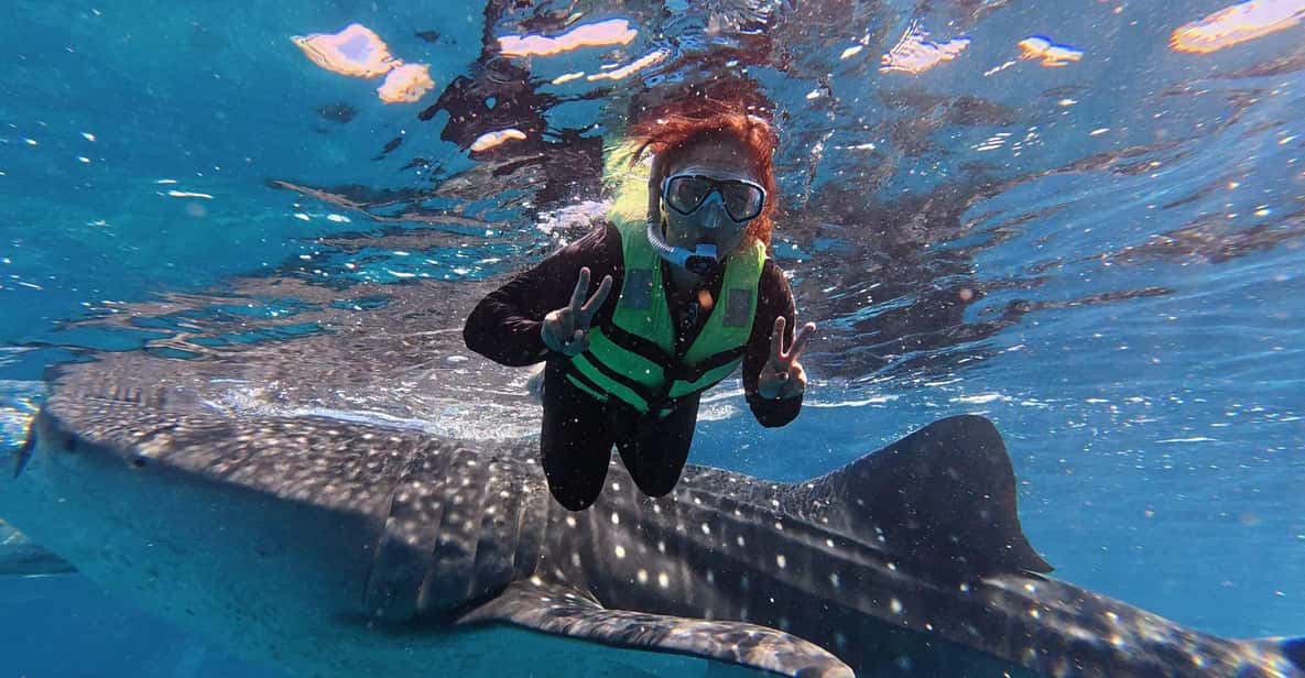 Oslob: Whale Shark Watching and Sumilon Island Day Tour | GetYourGuide