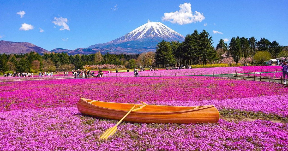 Da Tokyo: gita di un giorno al Monte Fuji, al Lago Kawaguchi e alla funivia | GetYourGuide