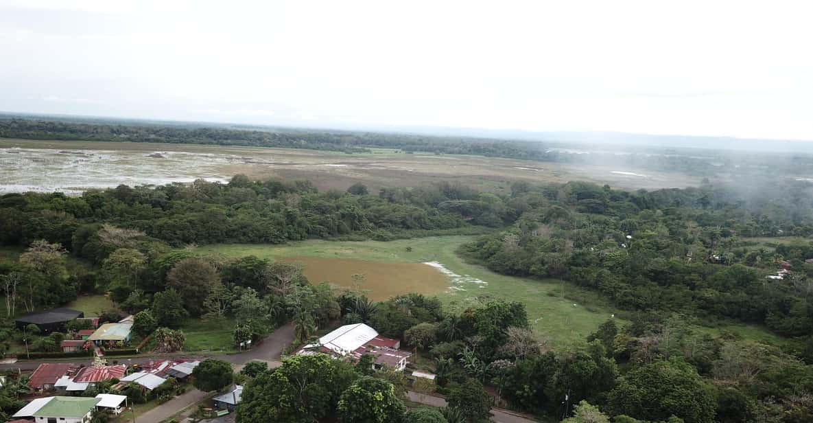 Caño Negro: rivers and lagoons: bird, flora and fauna tour | GetYourGuide
