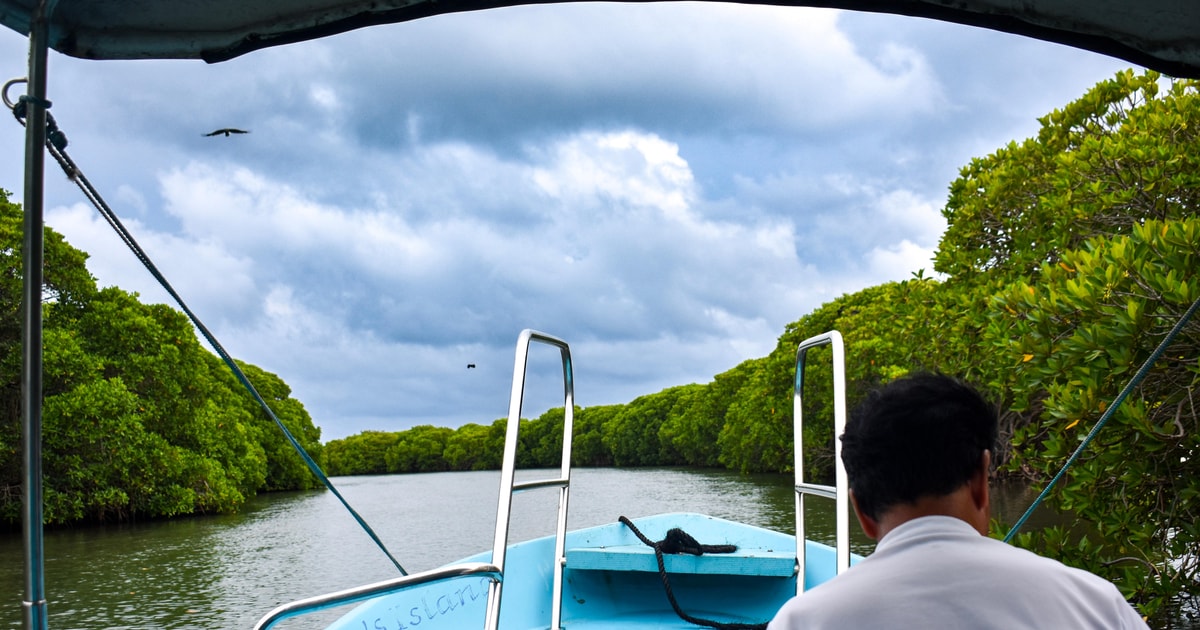Negombo: Lagoon Boat Tour with hotel transfers & fruit snak | GetYourGuide