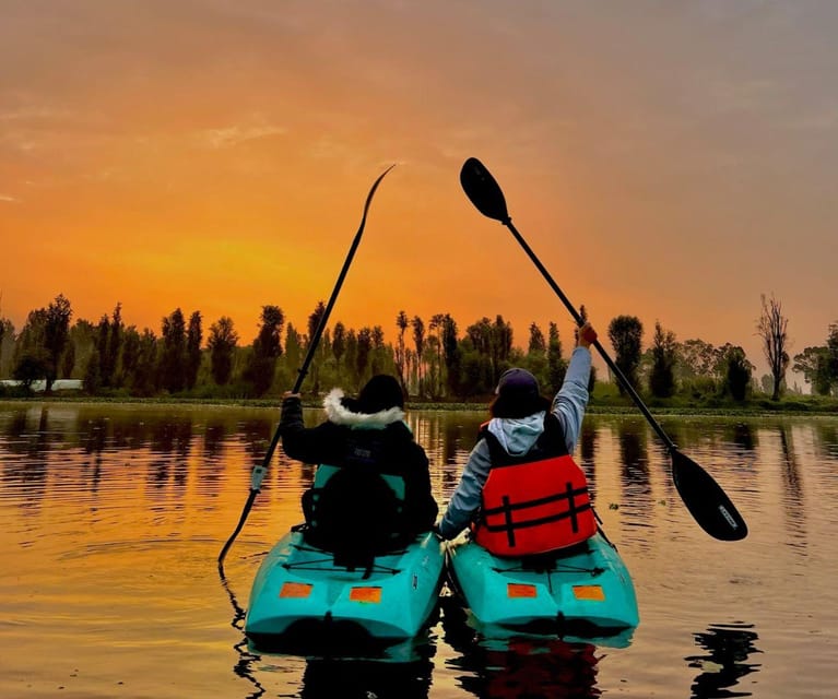 Amanecer en Xochimilco en Kayak | GetYourGuide