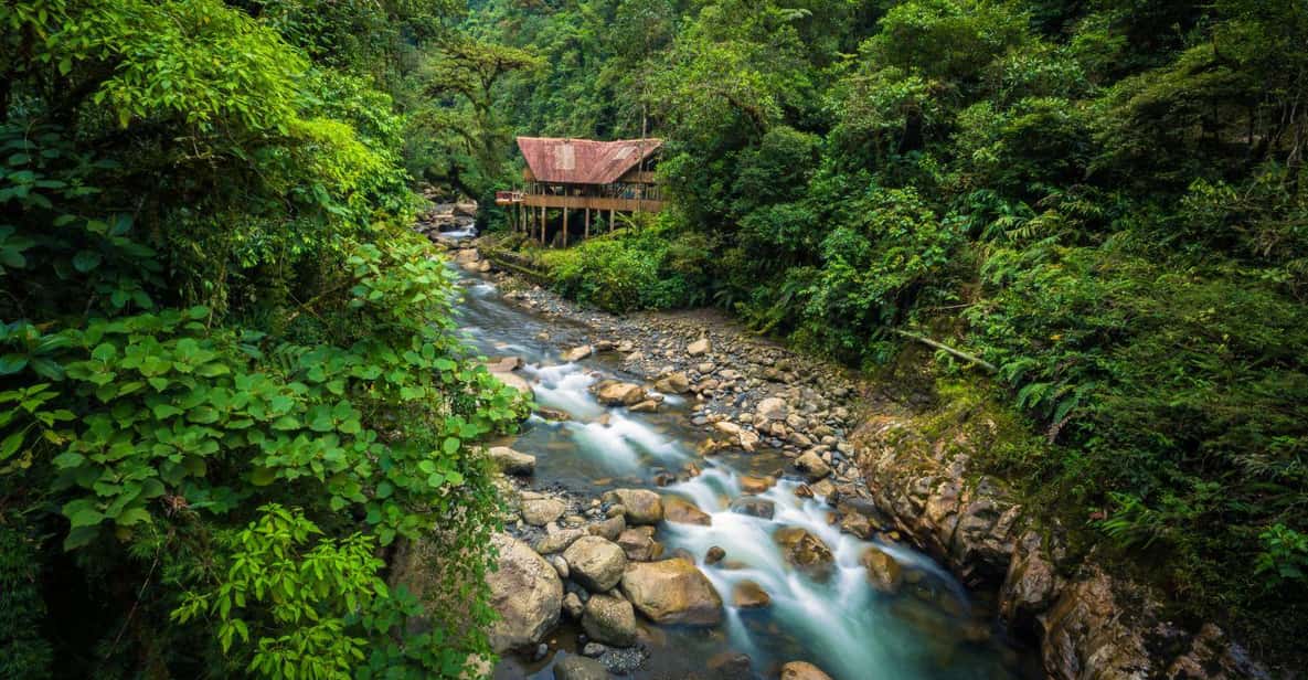 Cusco: 3-Day Manu National Park and Amazon Fauna Tour | GetYourGuide