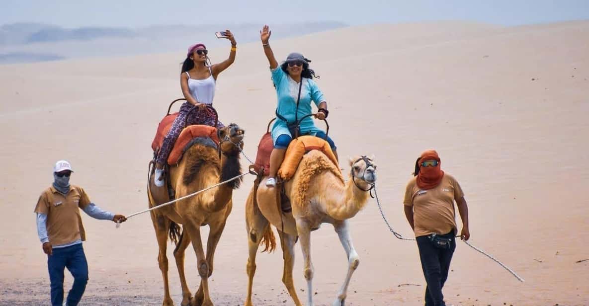 Camel Adventure in the Peruvian Desert | GetYourGuide