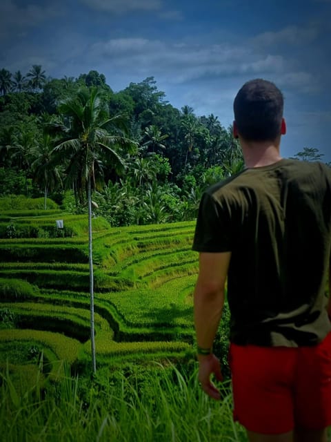 Highlight Ubud Waterfalls and Tegalalang Rice Terrace | GetYourGuide