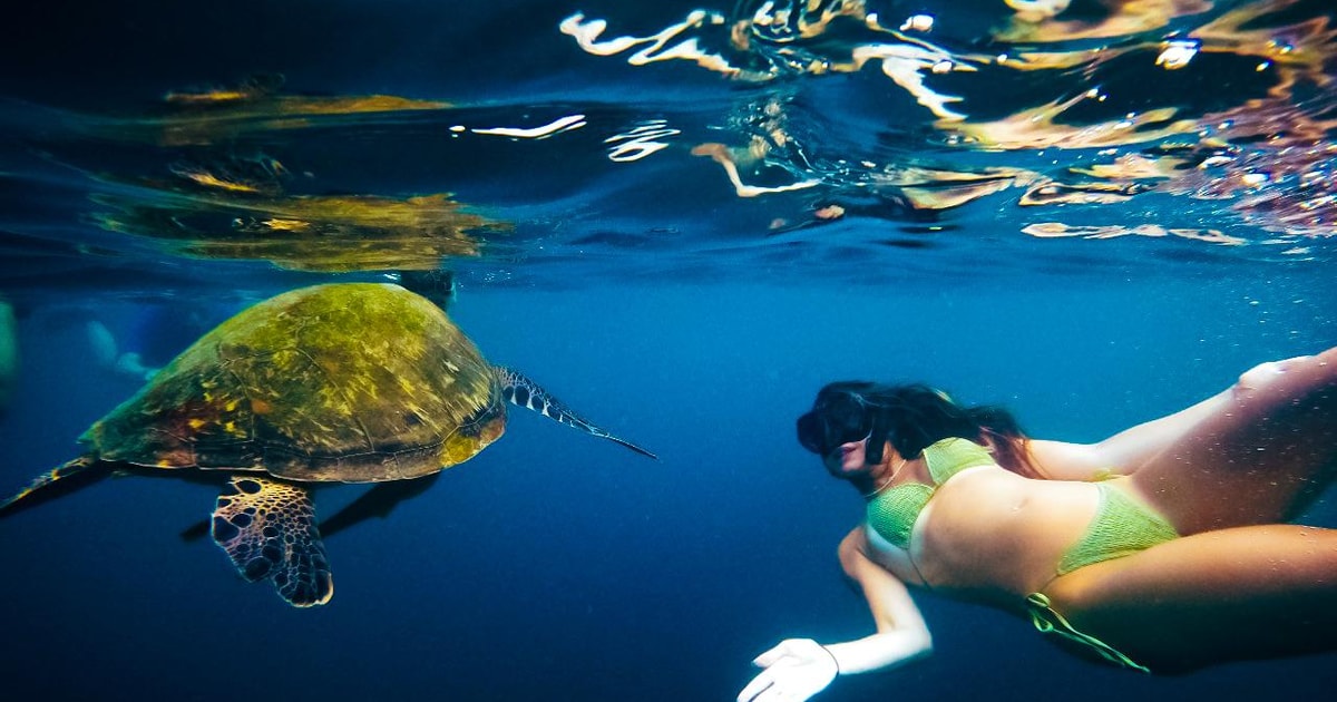 Ko Tao: Late Riser Island Hopping Tour with Lunch and Sunset | GetYourGuide