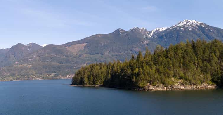 Squamish: Howe Sound Boat Tour with Wildlife Spotting | GetYourGuide