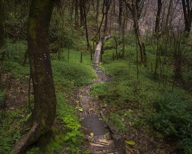 Mombacho Volcano Nature Reserve, Granada, Nicaragua - Book Tickets ...