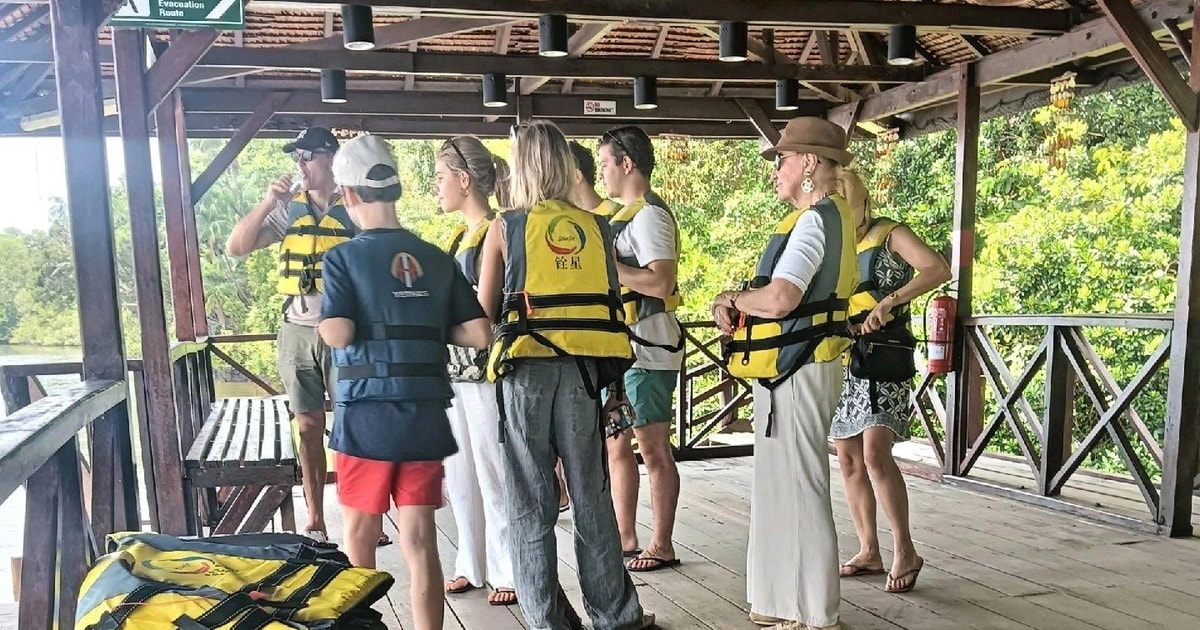 Mangrove discovery tour or fireflies tour | GetYourGuide