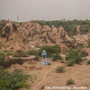 Chambal Safari 2 N 3 D Tour | GetYourGuide