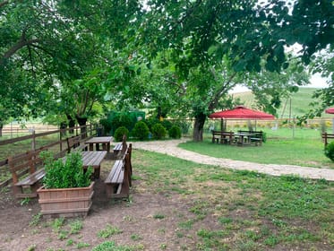 Alpaca farm in Shamakhi (Azerbaijan) 1 Day | GetYourGuide