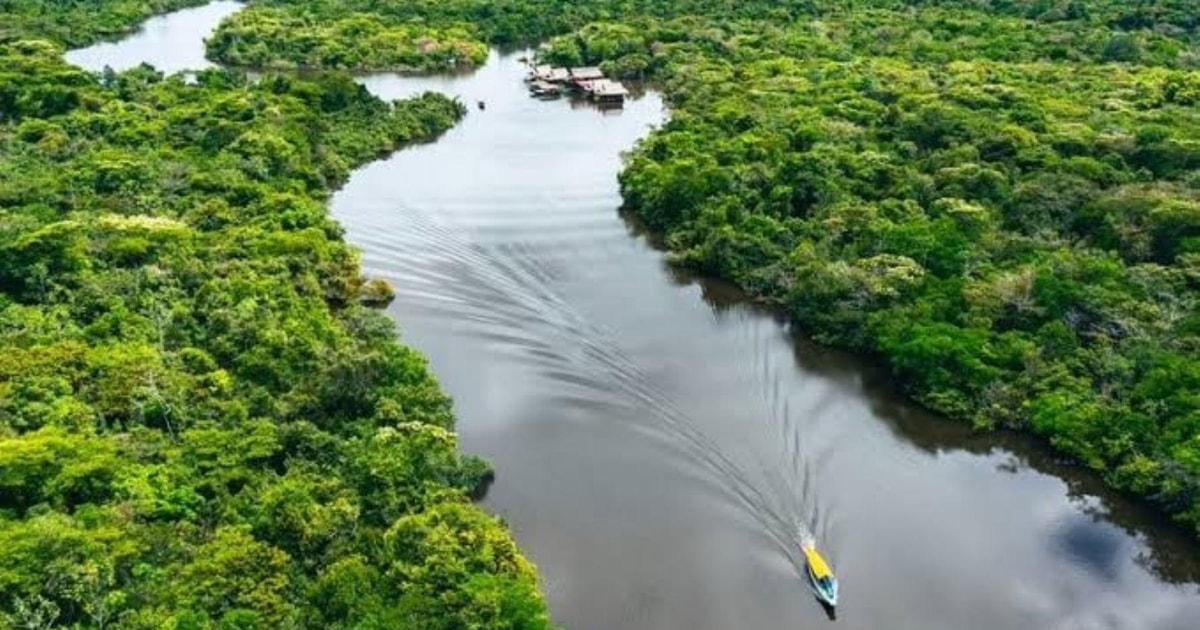 From Iquitos: Full day Amazon excursion | GetYourGuide