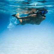 Mombasa: Wasini Dolphin Tour | GetYourGuide
