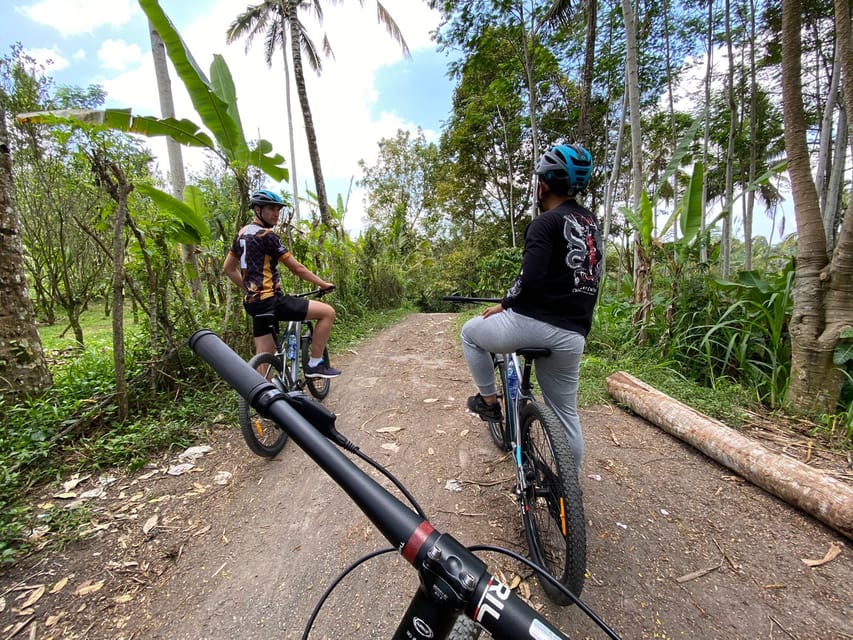 Ubud: Downhill Cycling with Volcano, Rice Terraces and Meal | GetYourGuide