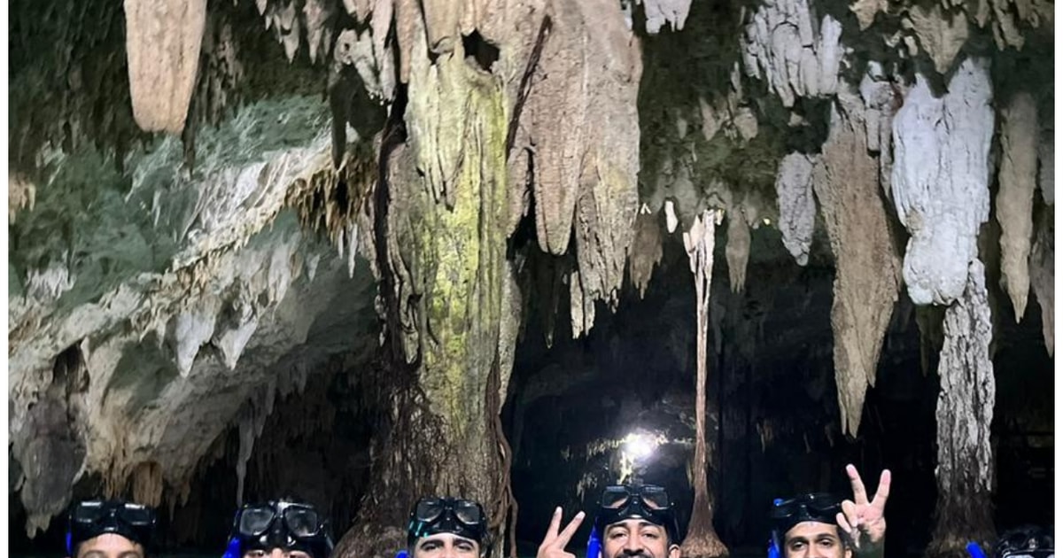Tulum: Snorkel at the Cenotes and Underground Rivers | GetYourGuide