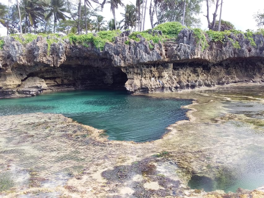 African Pool: Tiwi-Diani Beach Sunset boat ride & Reef Tour | GetYourGuide