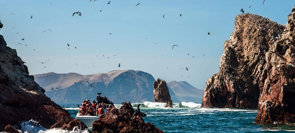 Excursion to Ballestas Islands and Paracas National Reserve | GetYourGuide