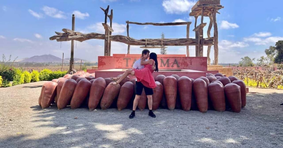 PISCO ROUTE 1 Tasting Tour 1 | GetYourGuide