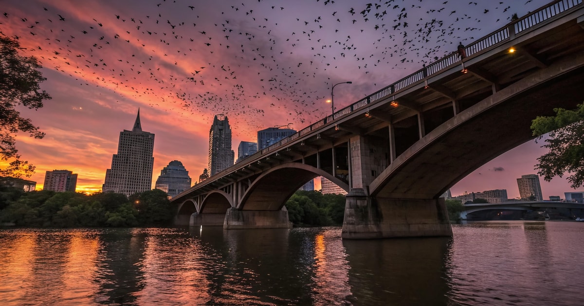 Austin: Best Bars and Bats 3-Hour Guided Tour | GetYourGuide